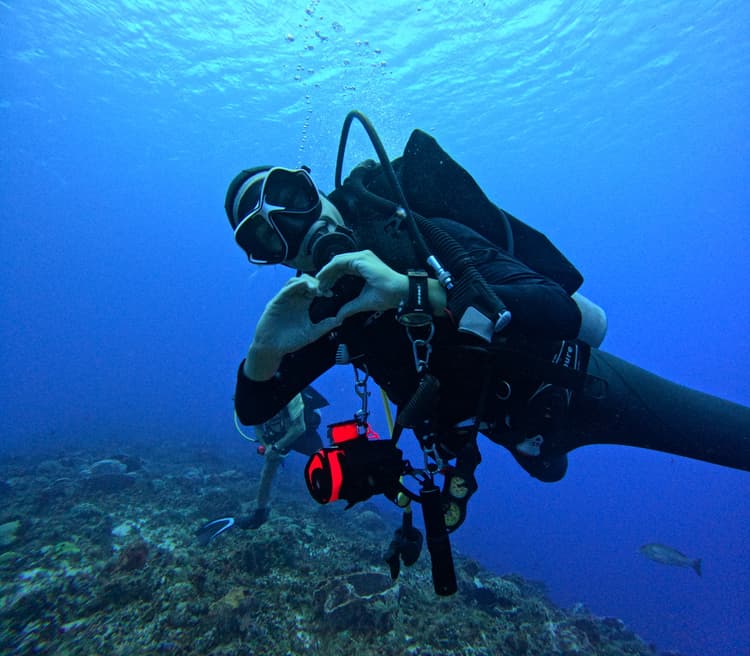 Sundara Divers - Discover Paradise Beneath the Waves